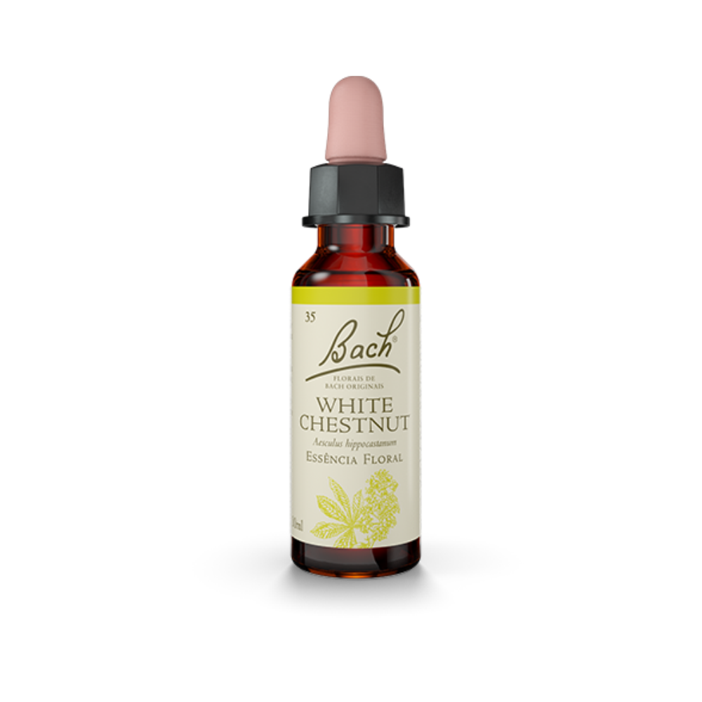 White Chestnut Floral de Bach Original: A essência floral para uma ...